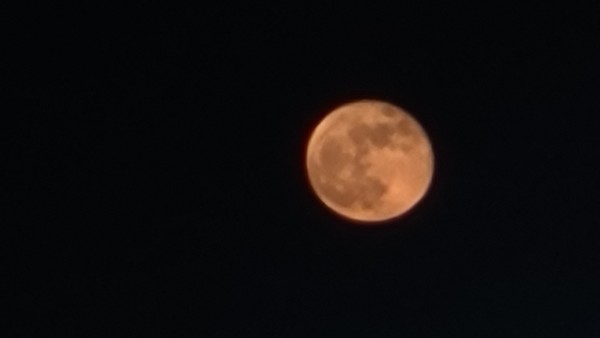 An Ode to Selene